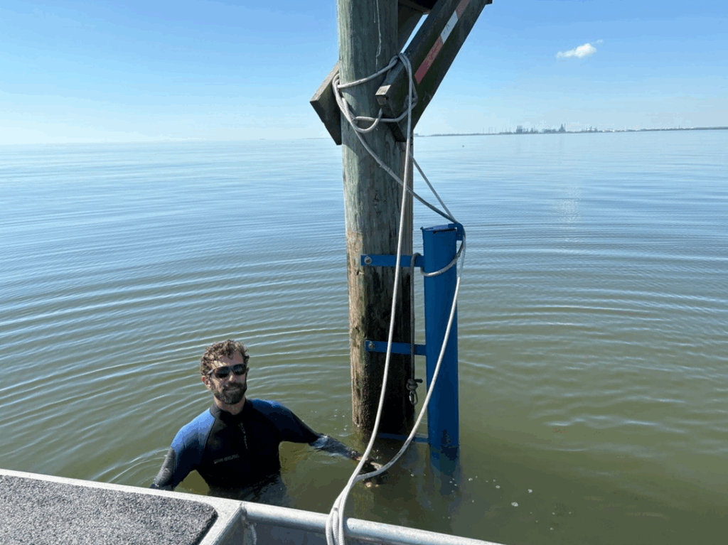 December is for the Stars!